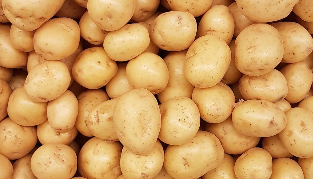 Discover The World's Most Expensive Vegetables