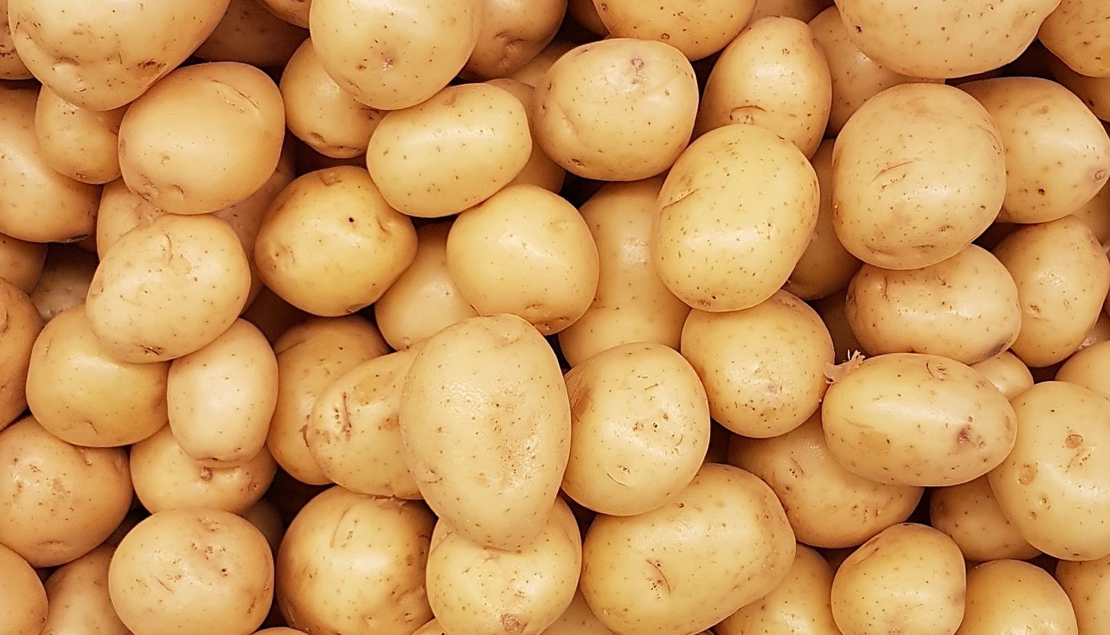 Discover The World's Most Expensive Vegetables