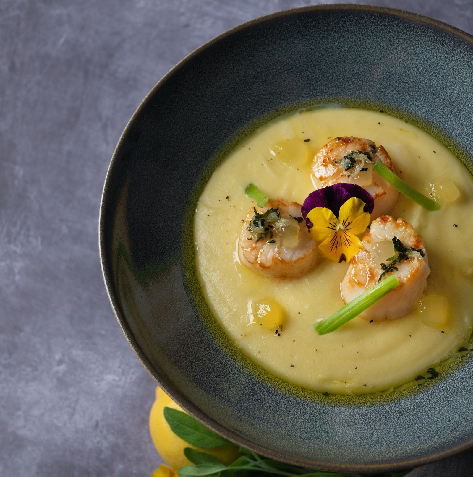 Scallops: An In-depth Look at This Exquisite Mollusk Seafood