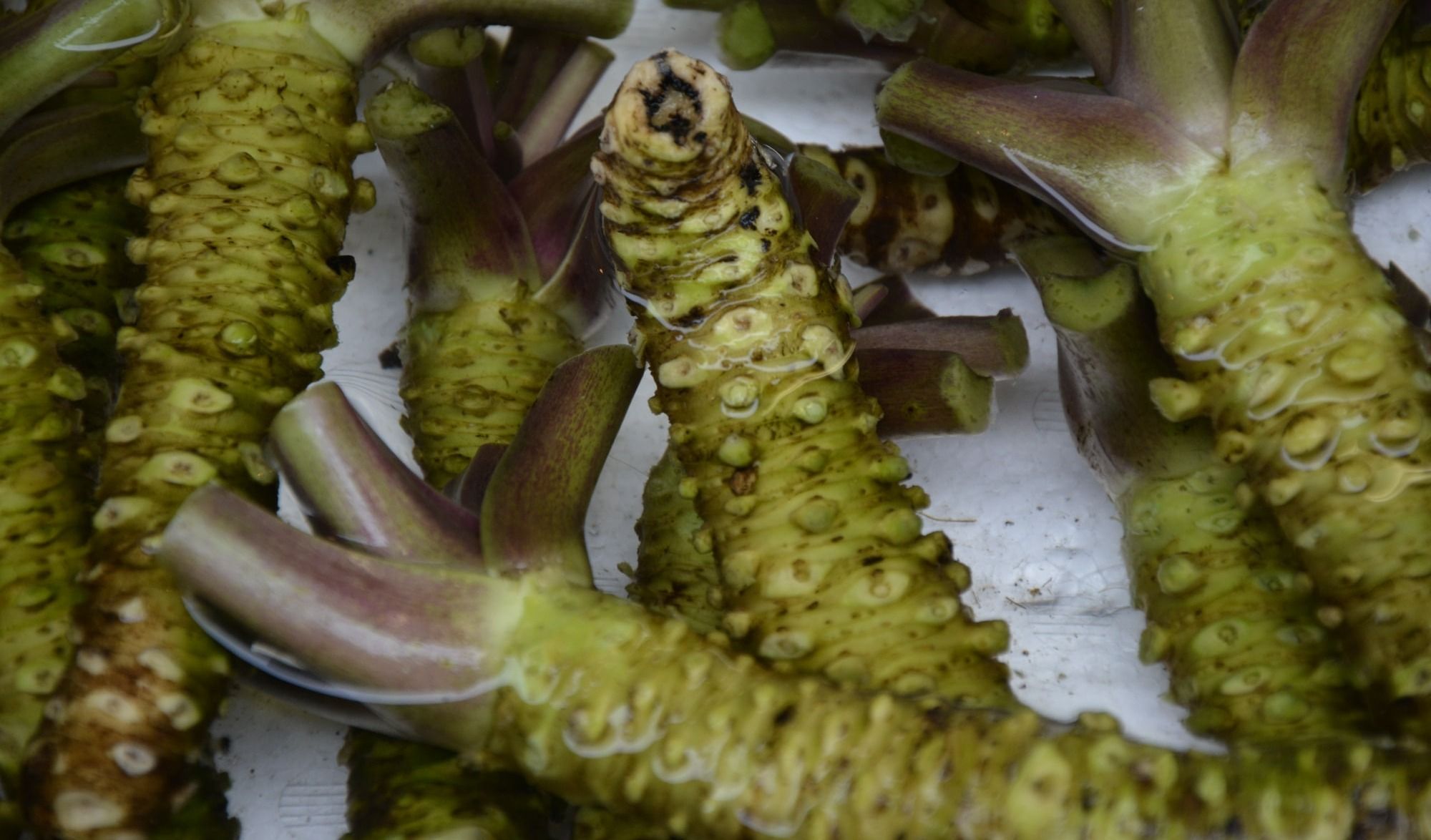 Why Is The Real Wasabi So Expensive?