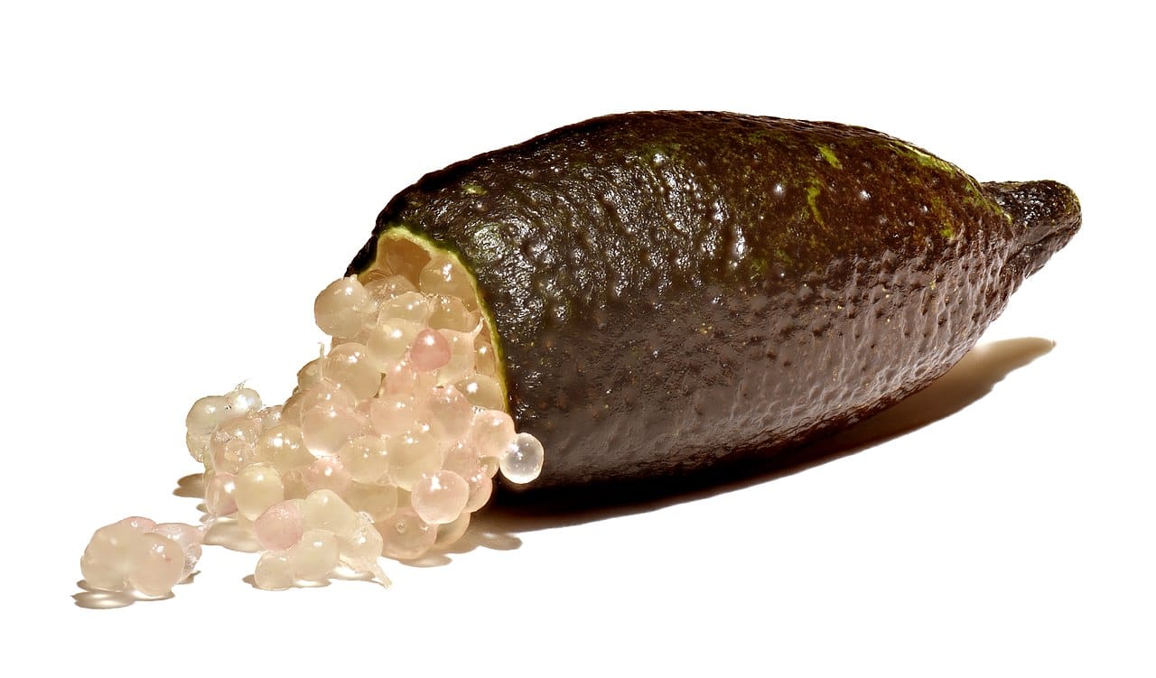 Finger Lime: The Luxurious Citrus Caviar Redefining High-End Cuisine