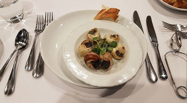 Escargot: Unveiling the Snail World of Luxurious Delicacy