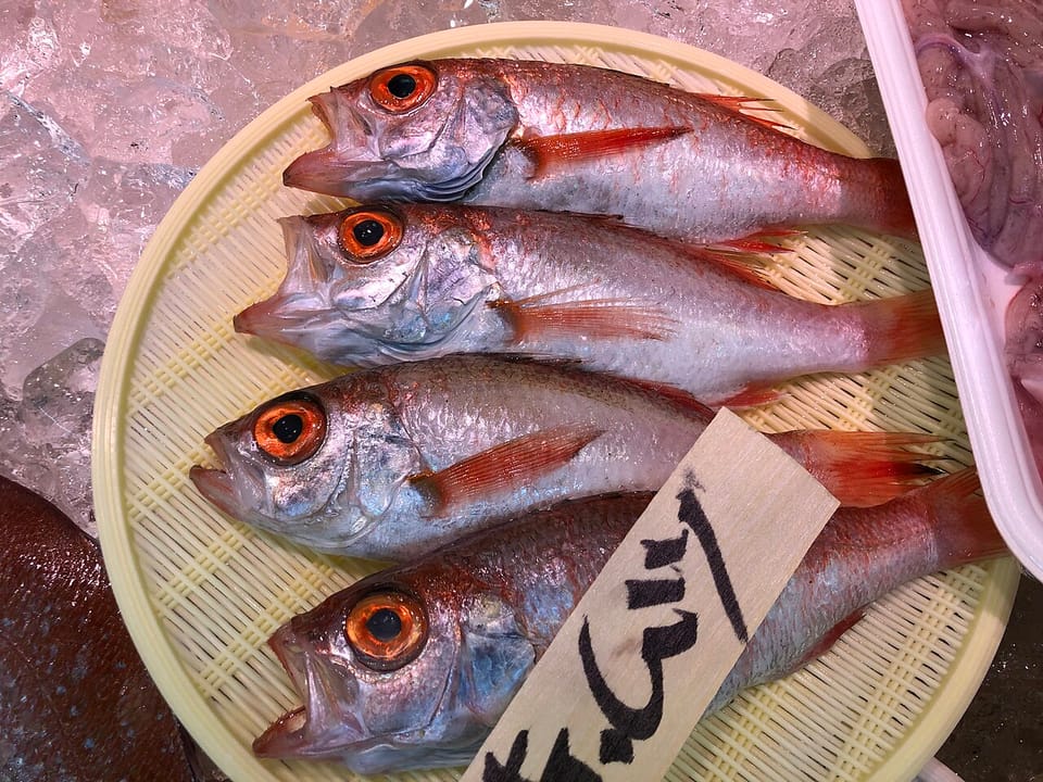 Why Akamutsu (Rosy Seabass) Is Japan's Most Expensive White Fish